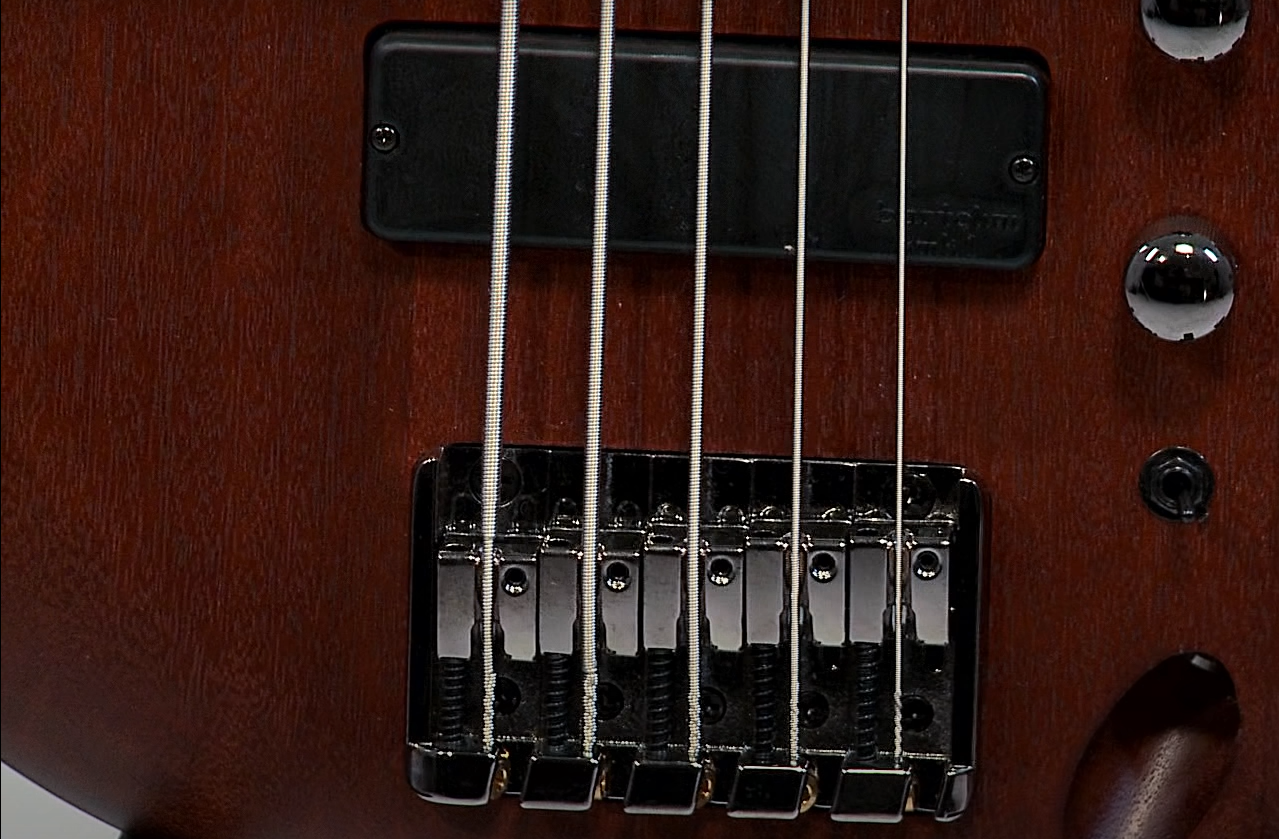 Ibanez SR505 Bass Review in September 2025 - MetalMusicGuide